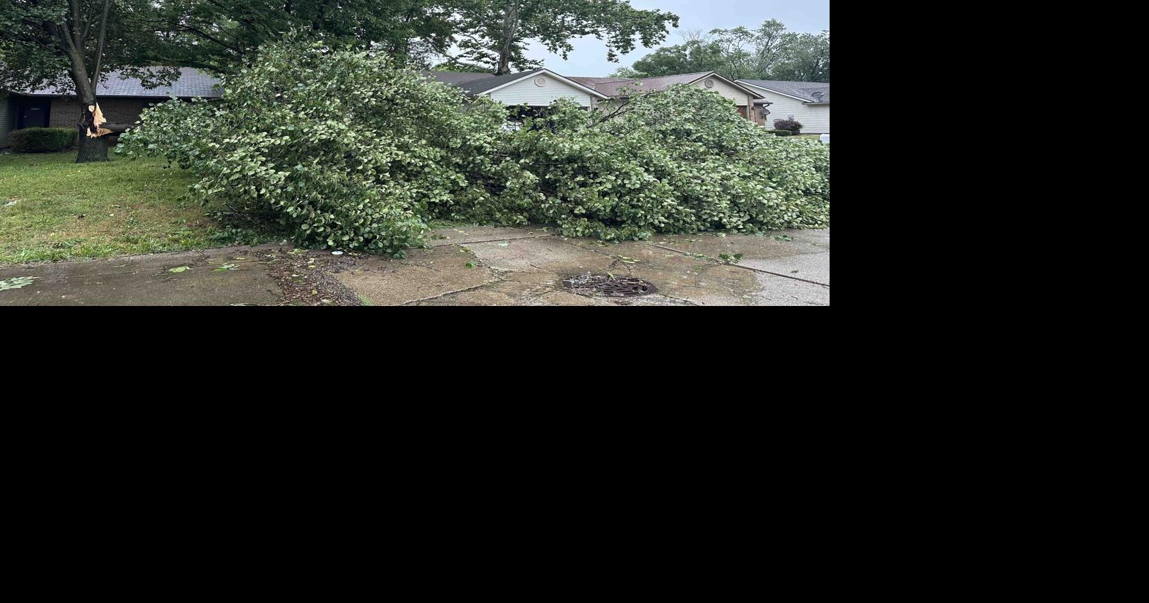 Storm Damage Terre Haute | | wthitv.com