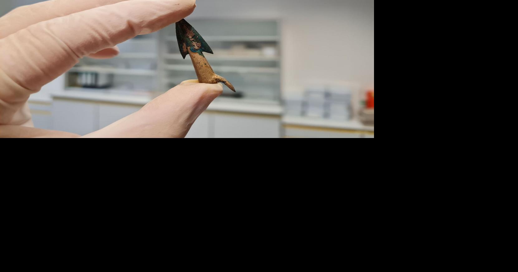 Thousands of bones and hundreds of weapons reveal grisly insights into ...