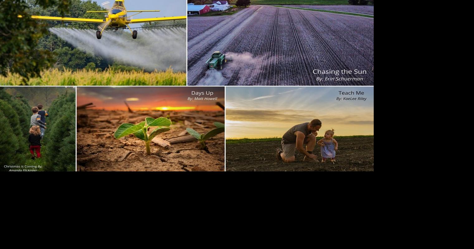 Submissions needed for 16th annual Indiana ag photo contest | News ...