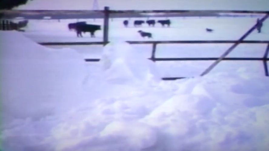WTHI-TV at 70: The Blizzard of 1978 | | wthitv.com