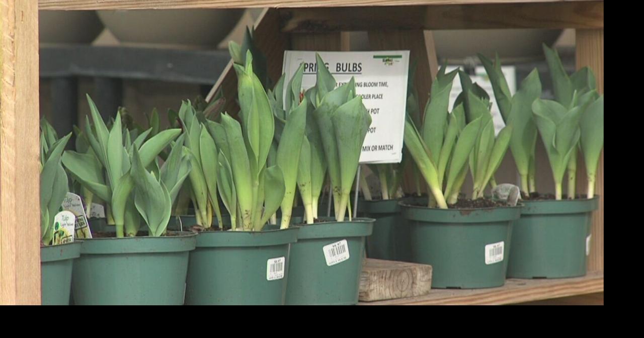 Bloom Bros opens its doors for the spring season | | wthitv.com