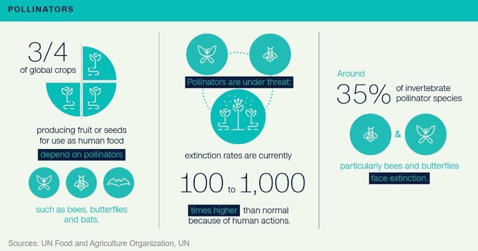 Five graphics that show some of the biggest threats facing the natural ...