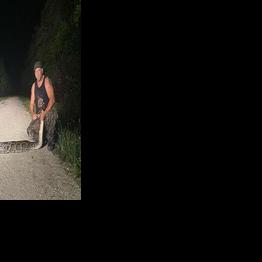 Pythons might become a new menu item in Florida if scientists can ...