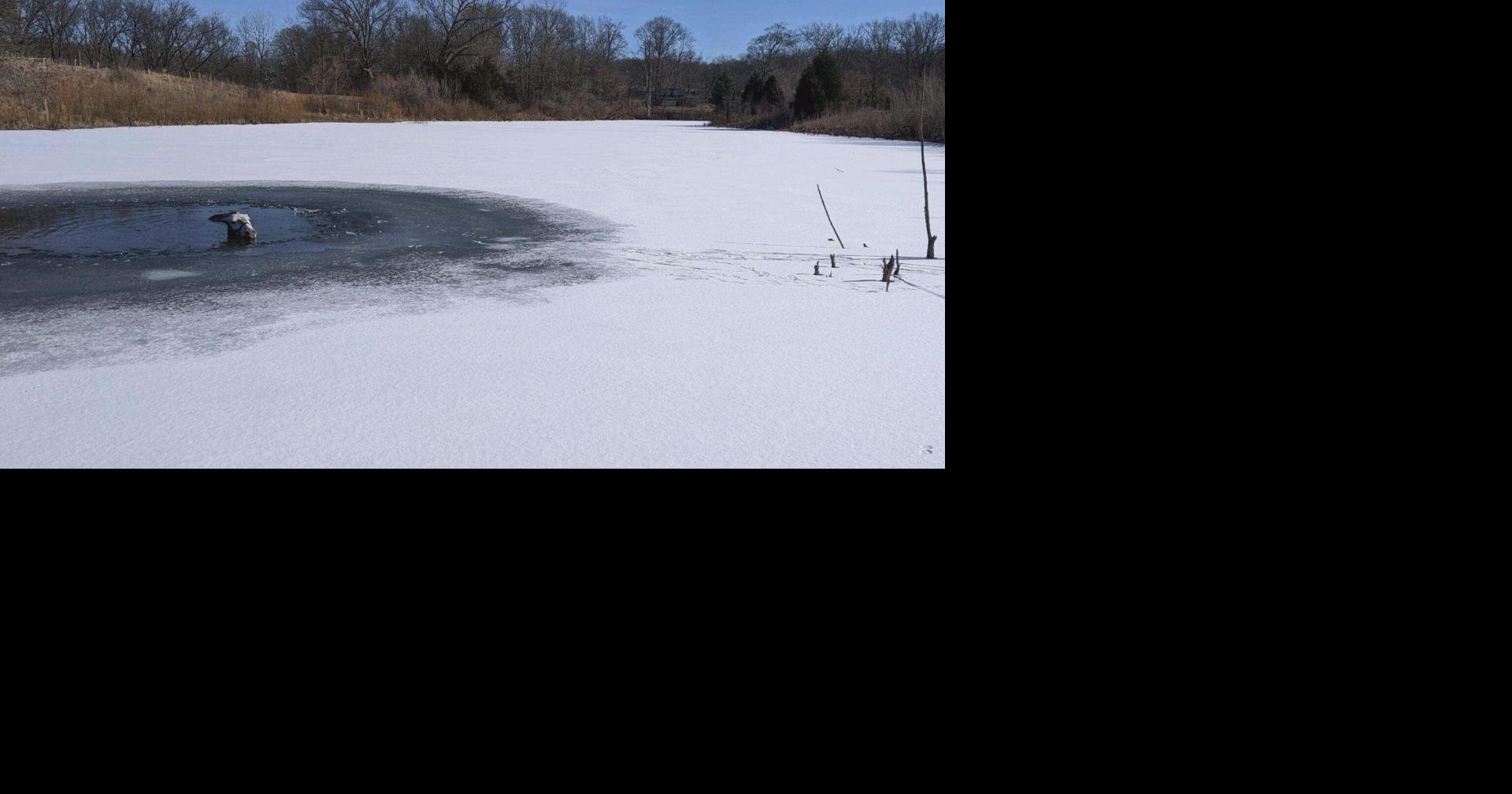 First responders assist in life saving animal ice rescue | News ...