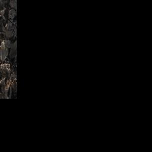 "That was like the 4th of July for us" Vermillion County finds first of ...