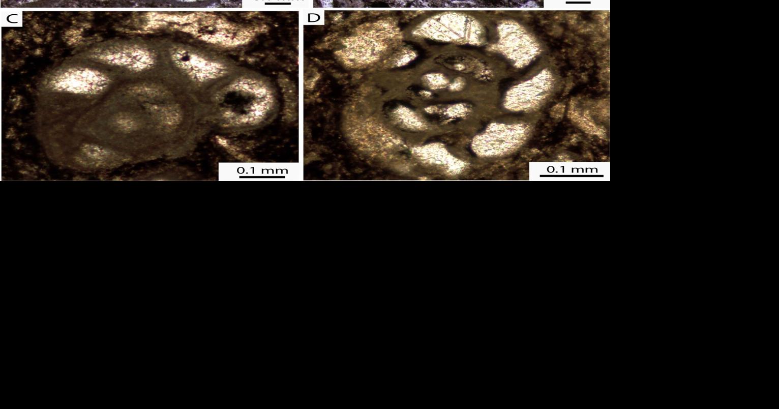 Scientists find new piece in puzzle of America’s oldest tombstone ...