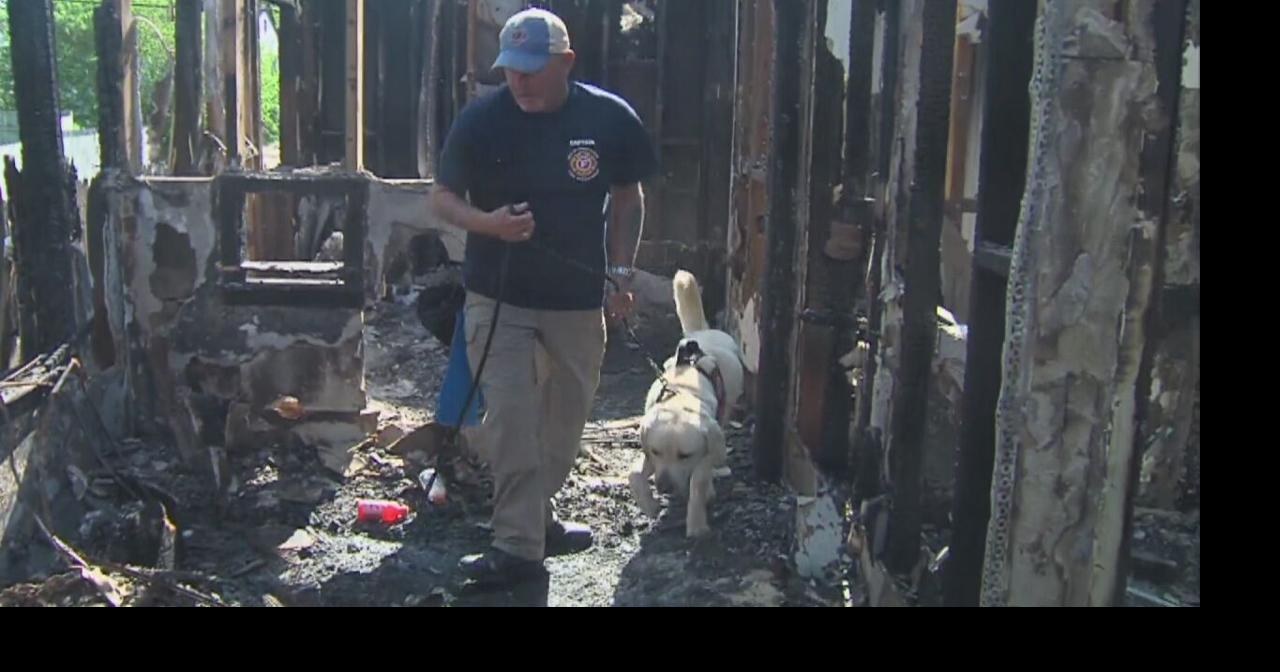 Lucky now serving as Vigo County's newest arson dog | Indiana | wthitv.com