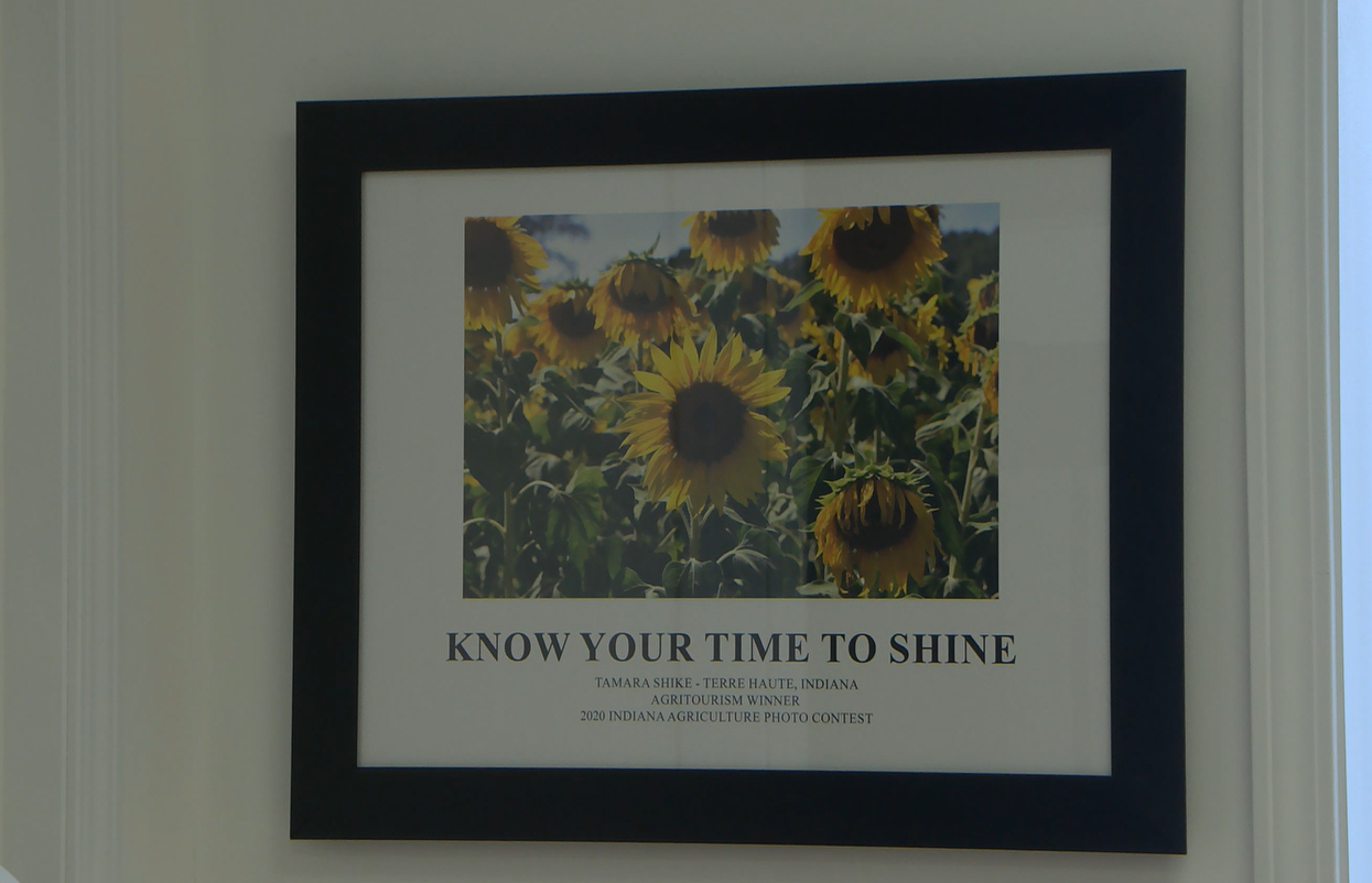 Picture on the wall | | wthitv.com