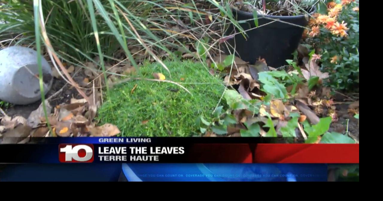 Terre Haute non-profit encourages you to Leave the Leaves to them to ...