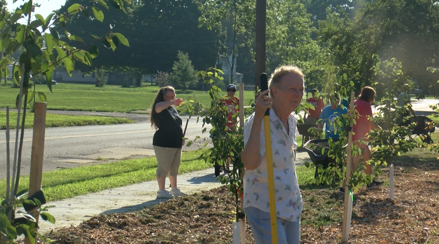 Hundreds of volunteers taking care of Terre Haute | News | wthitv.com