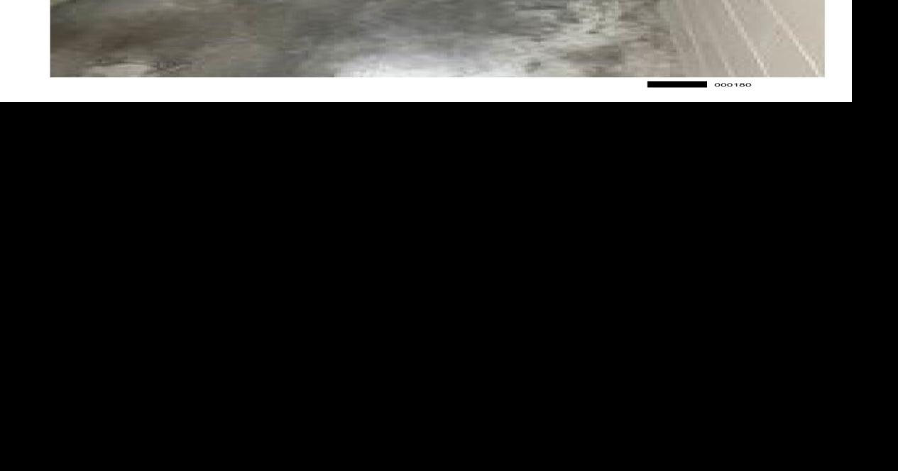 Class-Action lawsuit Filed against Coles County Jail | News | wthitv.com