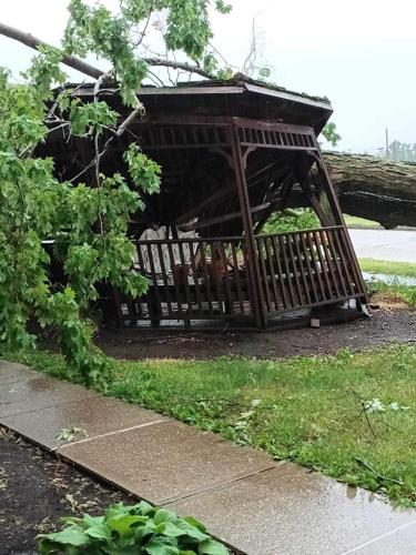 Trees, power lines down across Terre Haute; here's how to report damage ...