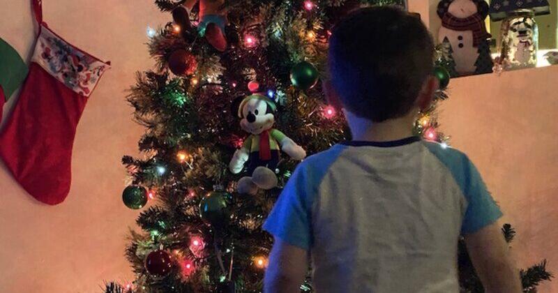 Holiday bummer: Now prices are soaring for Christmas trees and ...