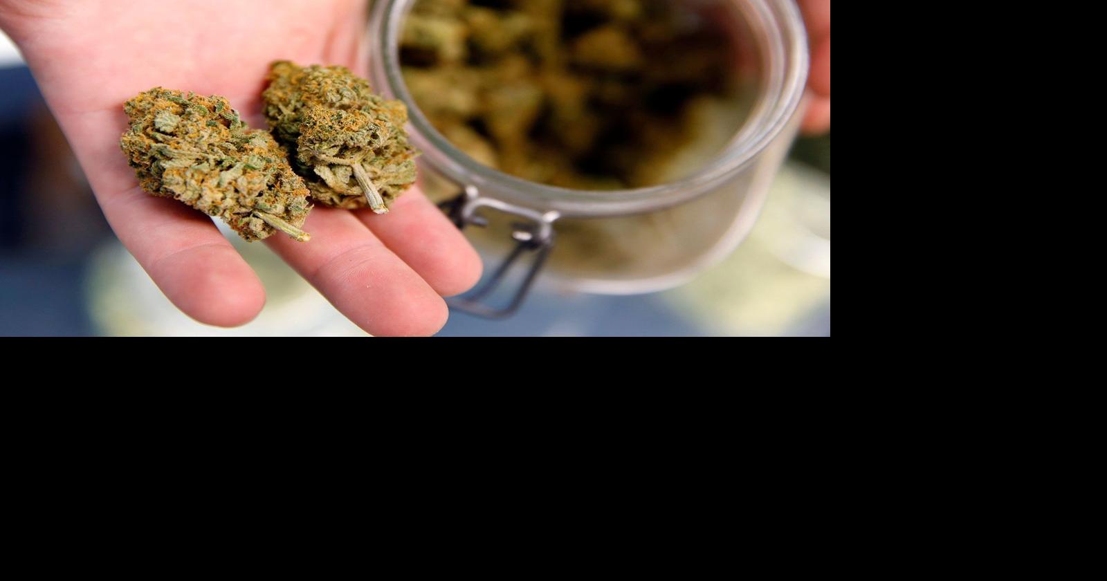 Trump considers reclassifying marijuana; Indiana senator reacts ...