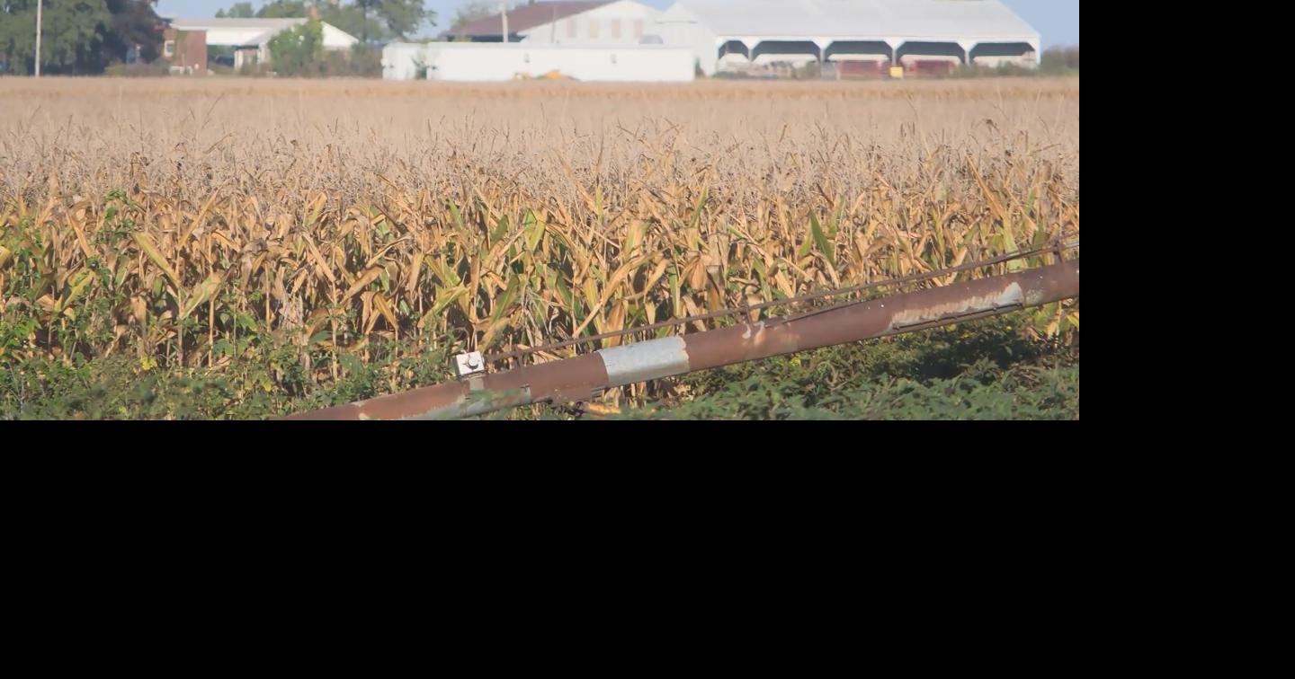 Indiana farmers plant 1.6M acres of cover crops, boosting soil health ...