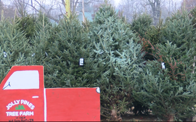 “We’re really trying to create a holiday atmosphere.” Jolly Pines Tree ...
