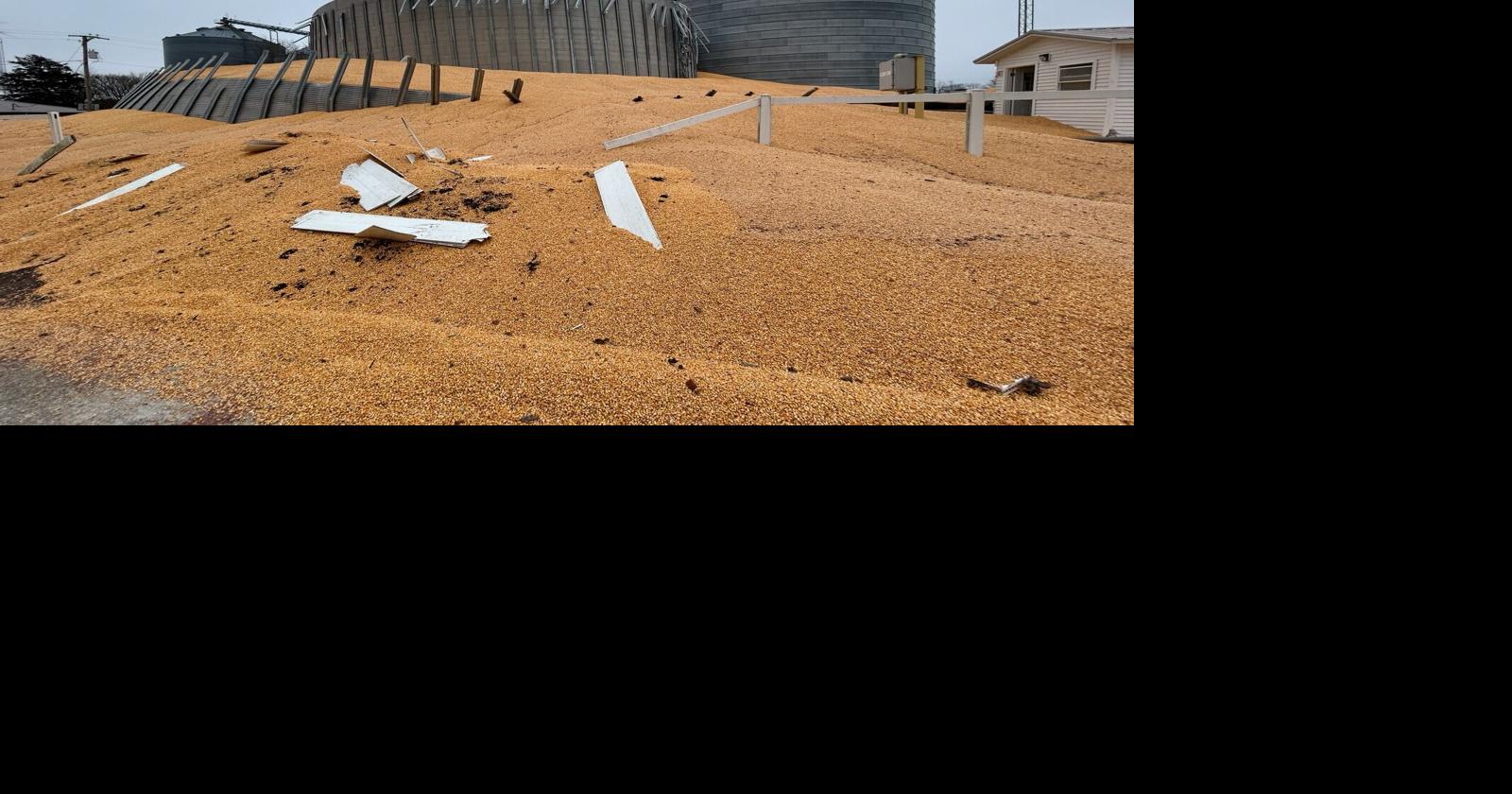 Cleanup underway after grain bin collapse in central Illinois | News ...