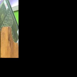 Newly renovated children's area opens at Robinson Public LIbrary | News ...