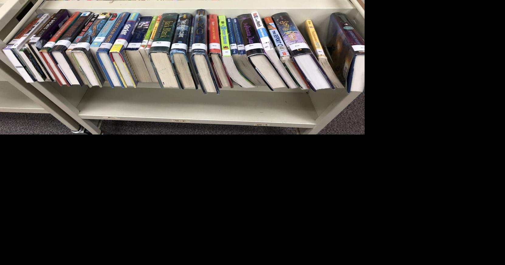 Free summer reading and math help returns for Indiana students | News ...