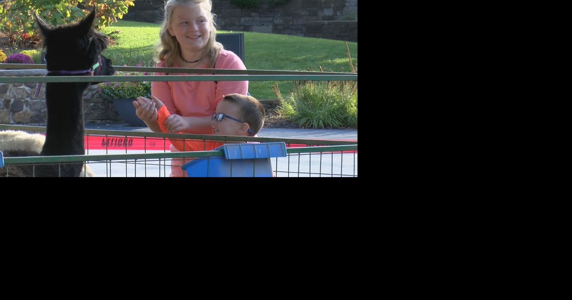 "We hope families create memories to share in our community" - Vigo ...