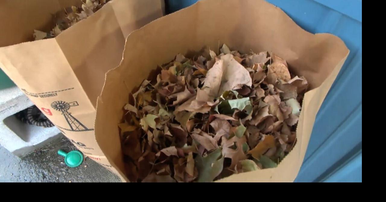 Bagging your leaves may not be good for the environment | Video ...