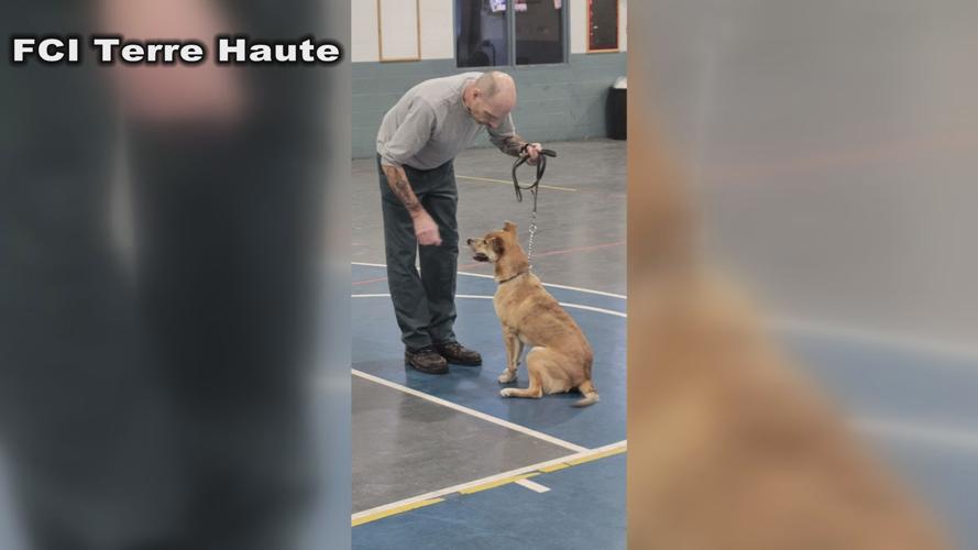 A New Leash On Life: A new program aims to help inmates and dogs in ...