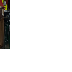 Vigo County arson dog unexpectedly passes away at 3-years-old | News ...