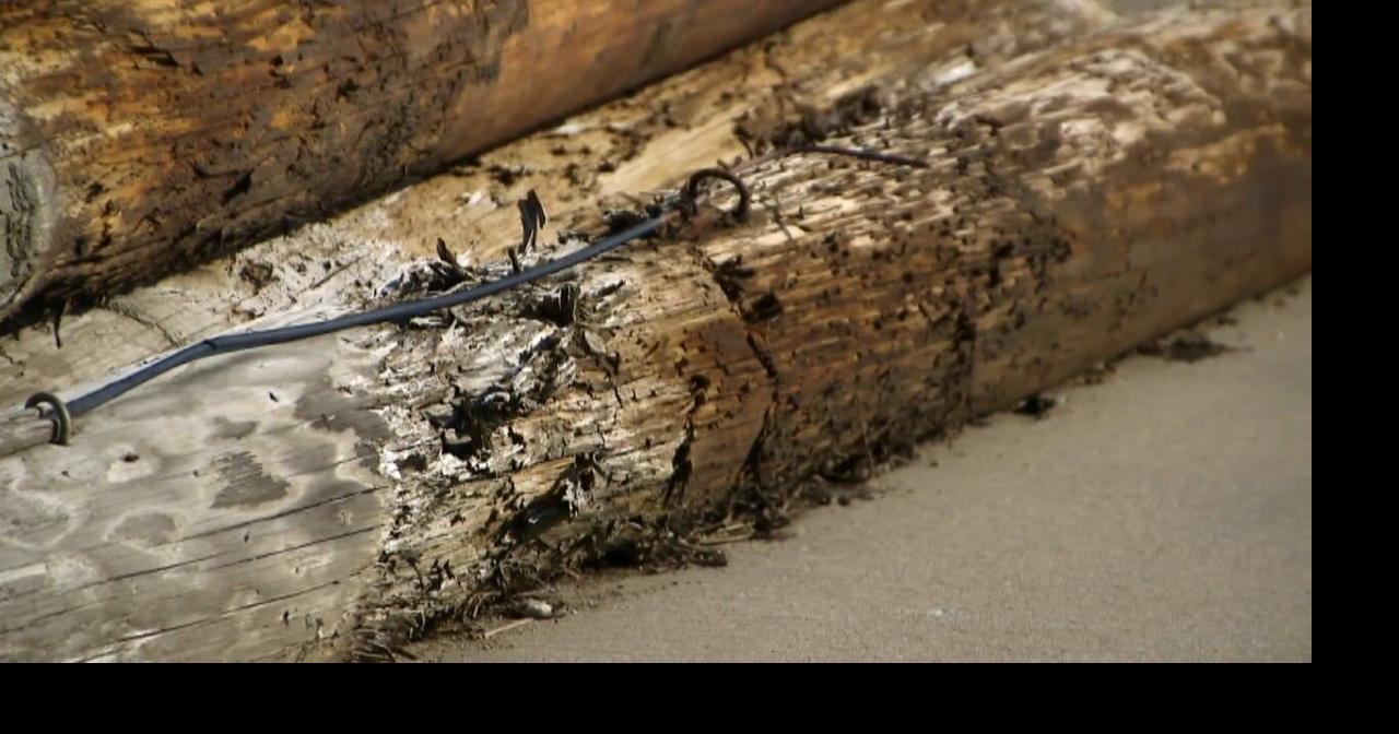 Ameren Illinois starts pole recycling program | News | wthitv.com