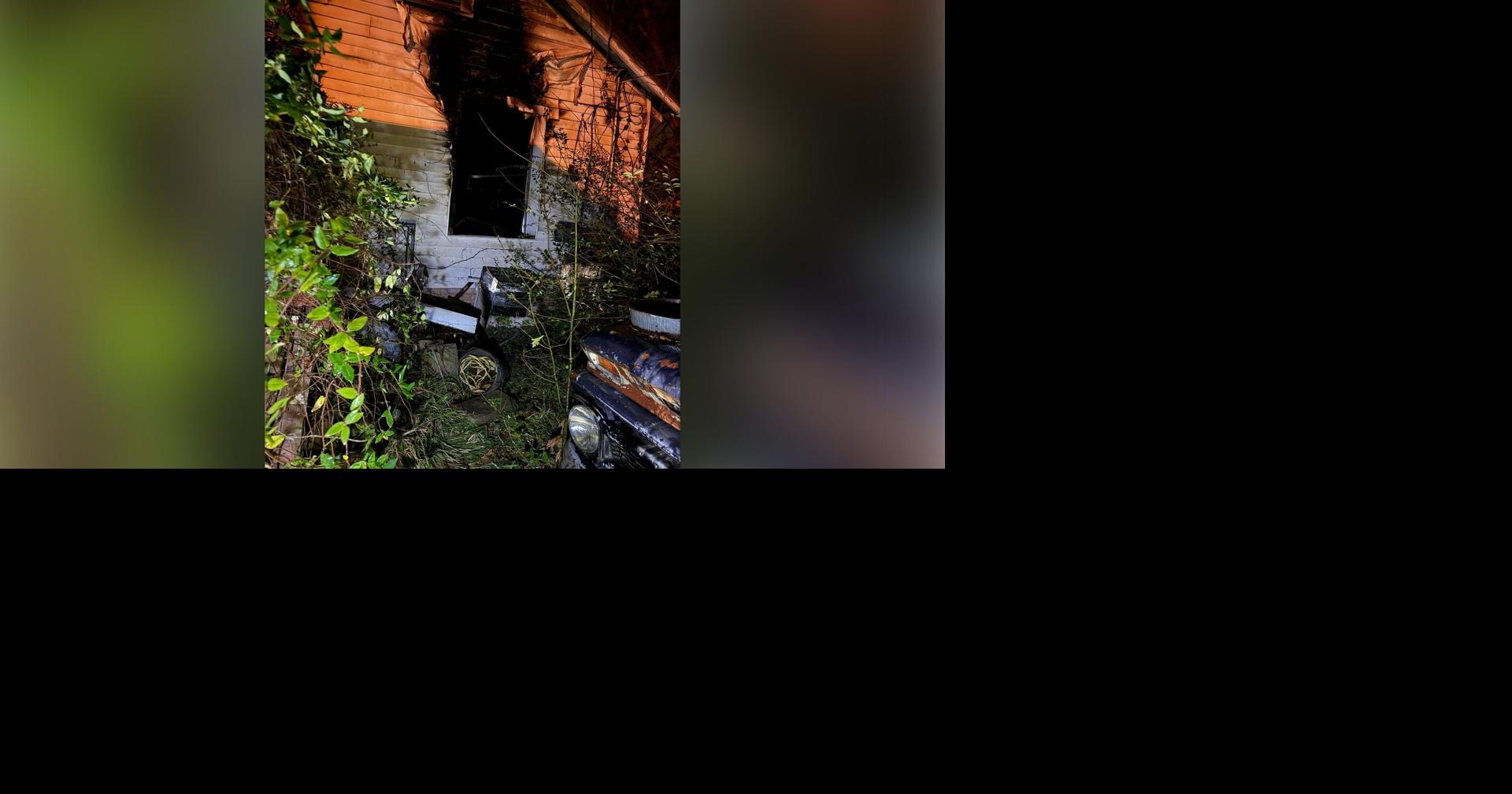 Pets killed in overnight fire in Nettleton | Local | wtva.com