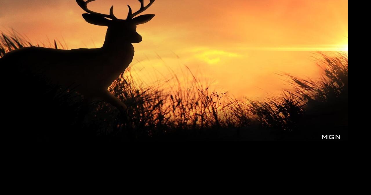 CWD-infected deer detected in six new counties during last season ...