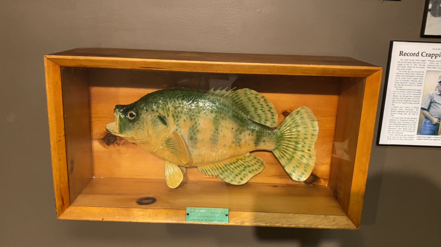 Highlighting History: Enid Lake program | Mississippi | wtva.com