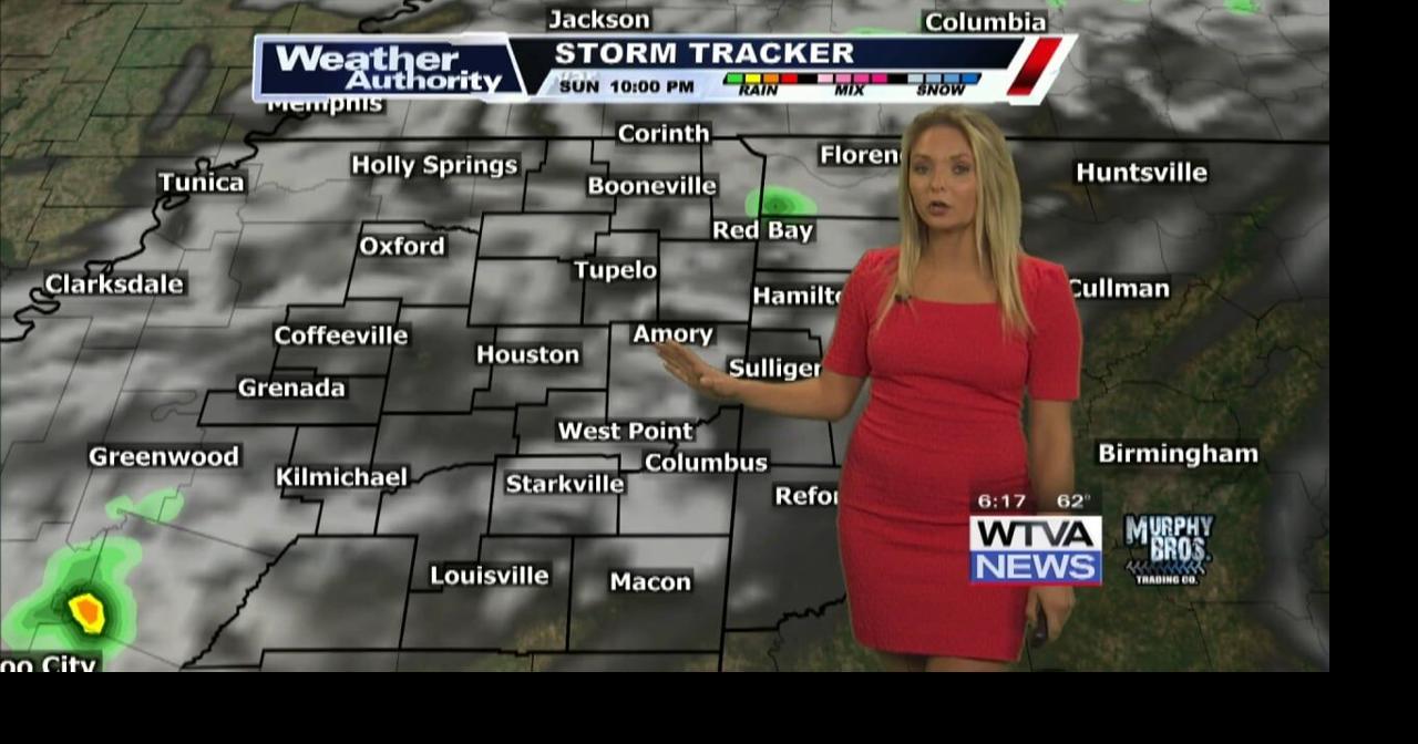 Storm activity moved quickly yesterday, leaving us with foggy and misty ...