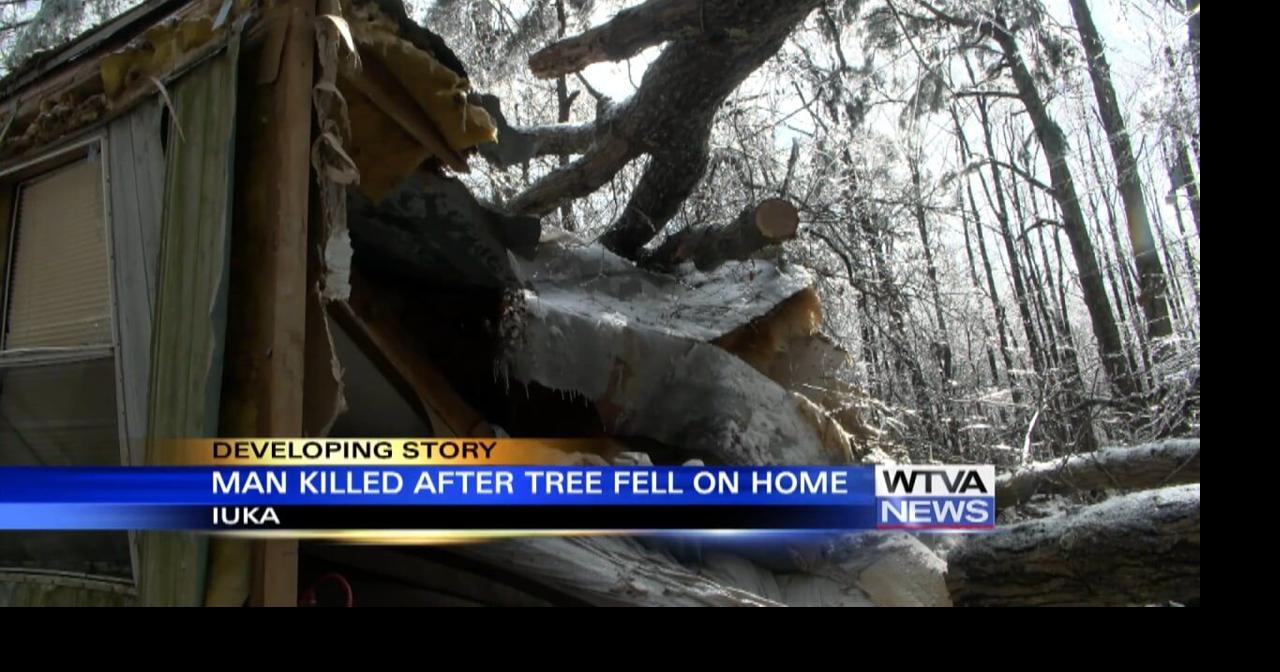 Iuka man dead after iced-over tree fell on mobile home | News | wtva.com