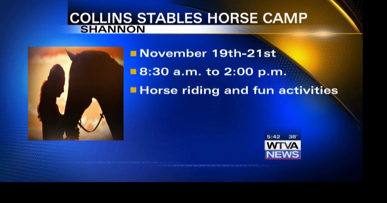 Collins Stables holding horse camp | Video | wtva.com