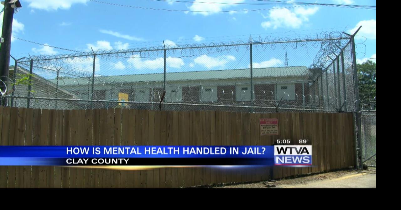 VIDEO - Sheriff talks about how mental health is handled in the Clay ...