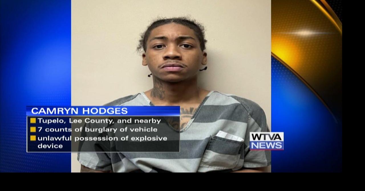 Monroe County man arrested in months-long auto burglary investigation ...