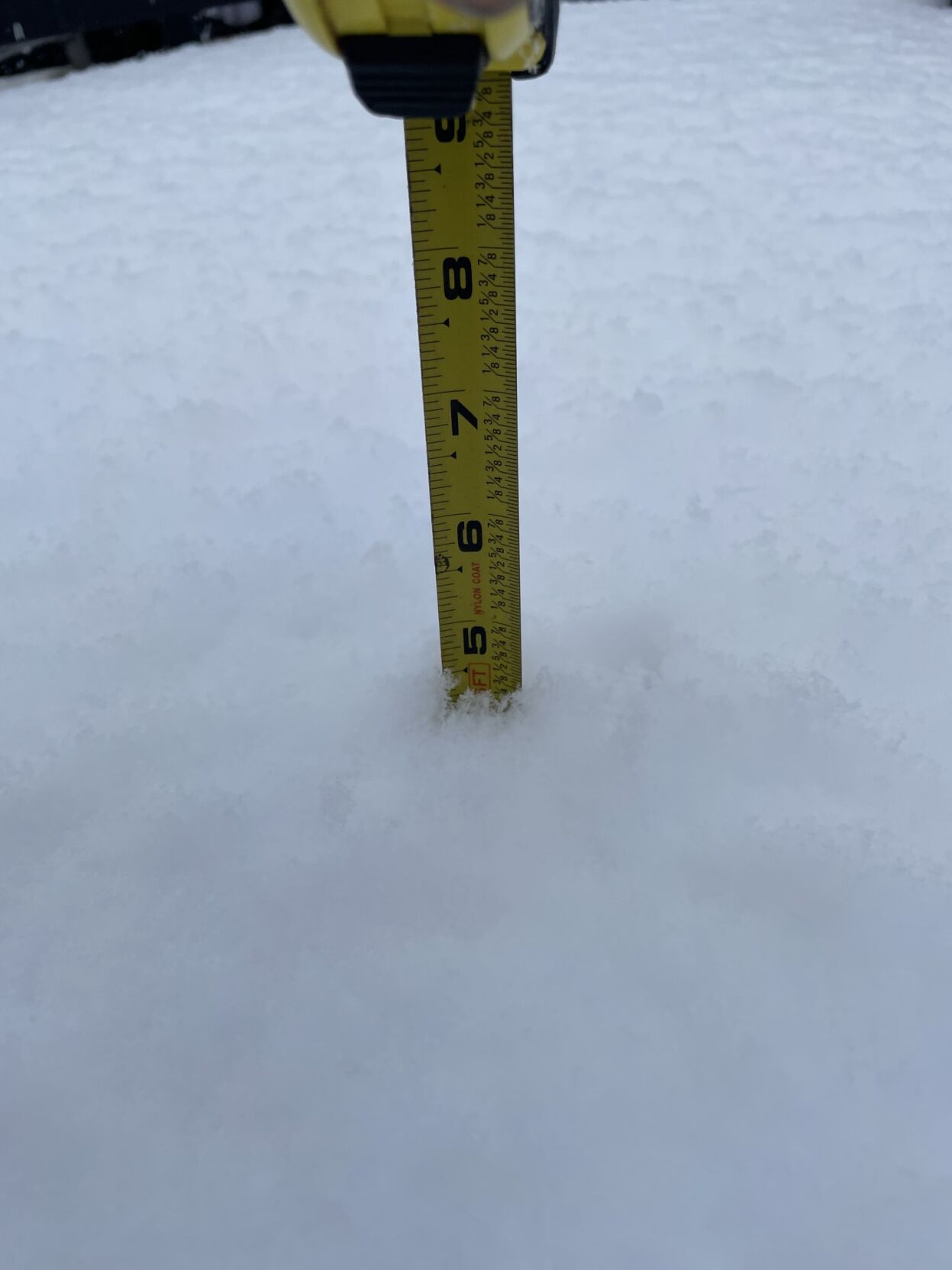 Snow pictures from Friday, Jan. 10 | Local | wtva.com