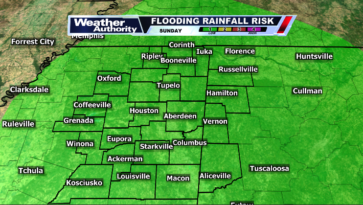 Rain likely Saturday evening into Sunday | | wtva.com