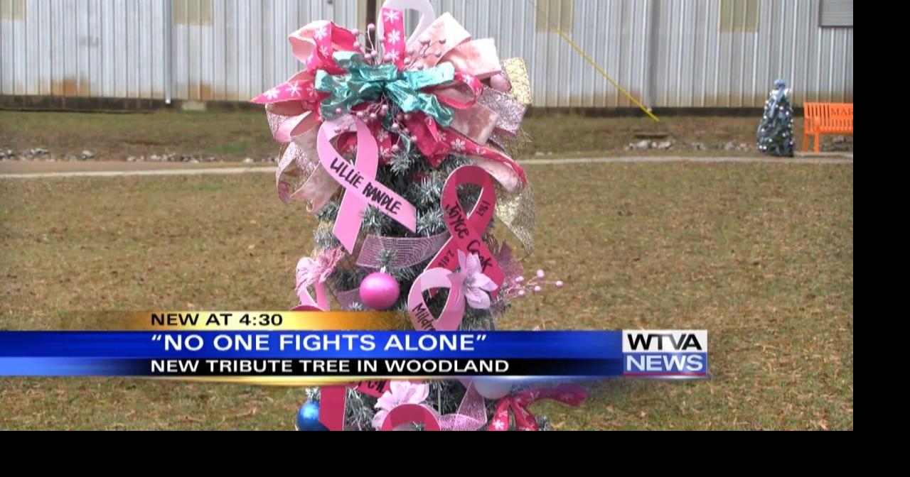 Cancer tribute tree shines in Woodland holiday display | Video | wtva.com