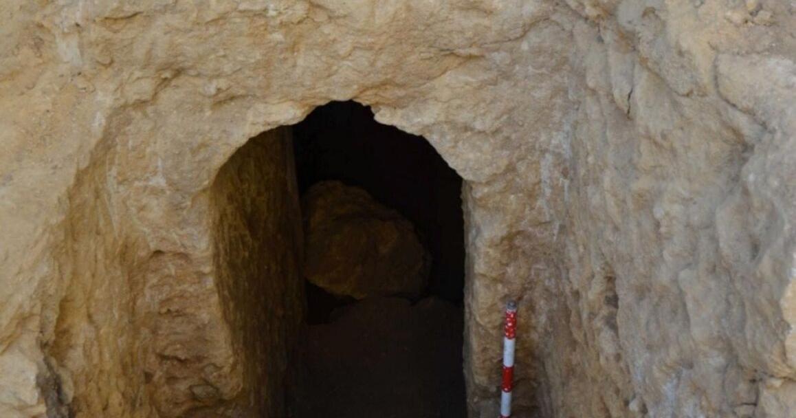 Oldest wine ever discovered in liquid form found in untouched Roman ...