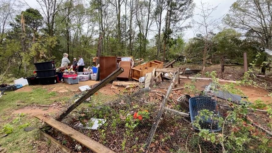 PICTURES: Weekend storm damage in north Mississippi | | wtva.com