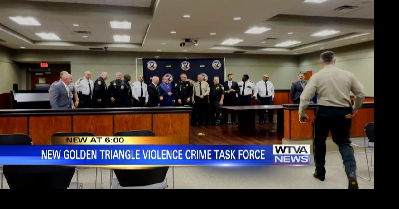 New crime task force formed in Golden Triangle to boost safety | Video ...