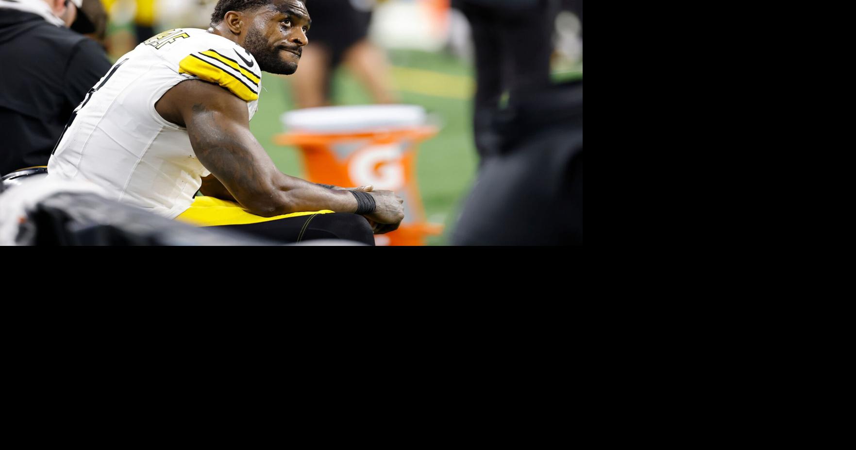 Steelers’ DK Metcalf suspension over altercation with fan upheld ...