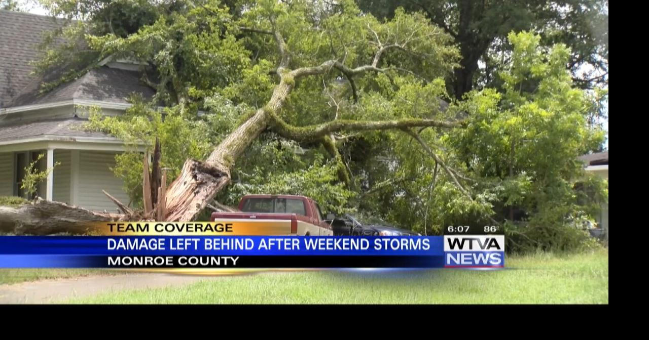 VIDEO: Weekend storms leave behind damage in Monroe County | Video ...