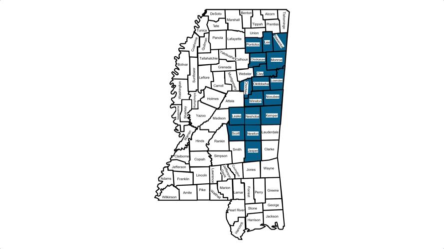 Cicada Mania: Expect a very noisy summer | | wtva.com
