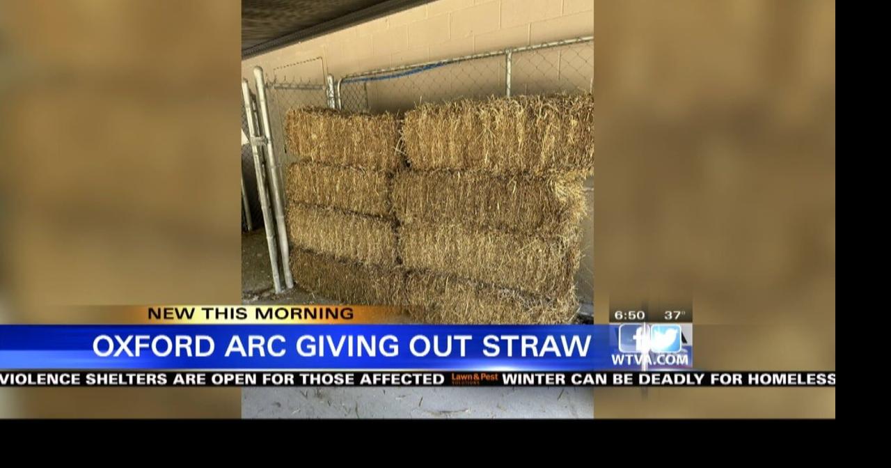 Oxford Animal Resource Center is giving out straw for animals | Video ...