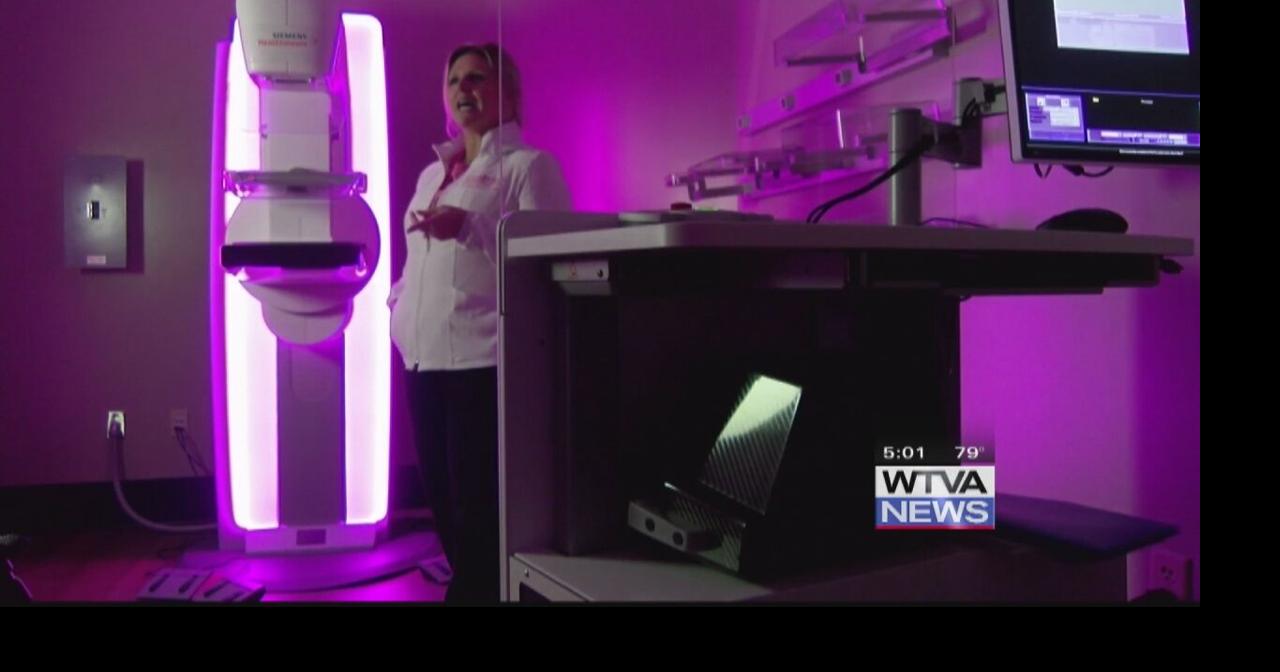 Breast cancer survivor speaks about her year-long journey | Local ...