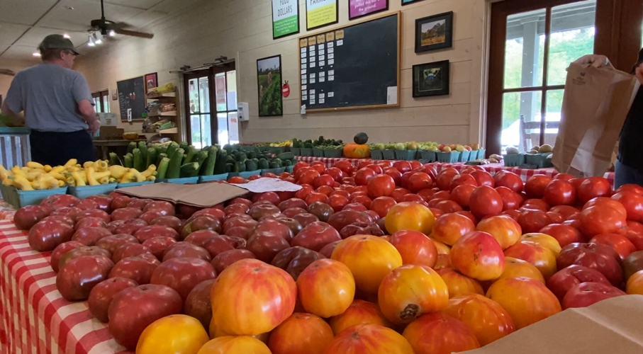 Skilled to Work - Farming | Community | wtva.com