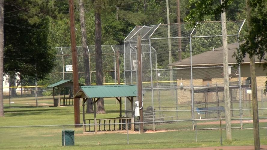 Columbus to borrow $3M for Propst Park renovation | News | wtva.com
