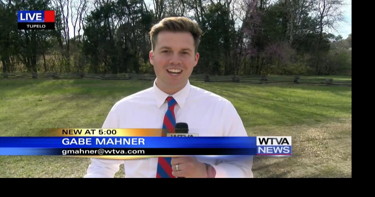 Spring is here and that means pollen | Video | wtva.com